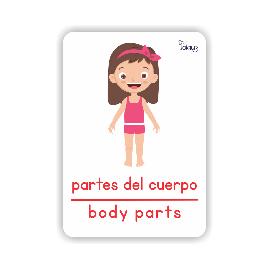 FLASHCARDS PARTES DEL CUERPO NIÑA – Jolau Tienda